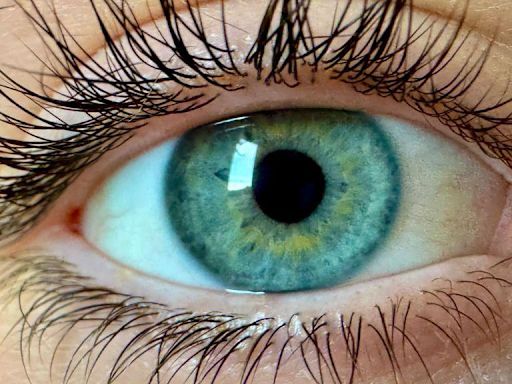 New Colour 'Olo' Discovered by Scientists Through Laser Eye Experiment
